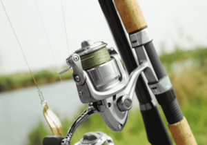 The Ultimate Guide to the Best Open Face Reels - Our Top Picks in 2024
