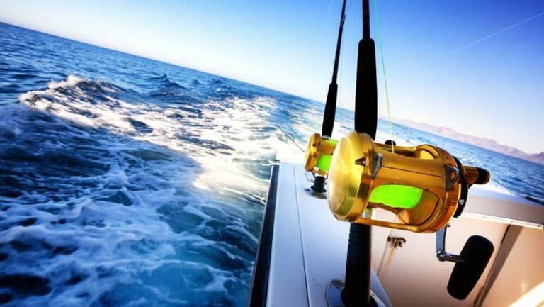 5 Best Tuna Fishing Reels - Our Top Picks in 2024