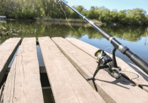 Best Rods for Pier Fishing (2024 Buyers Guide & Review)